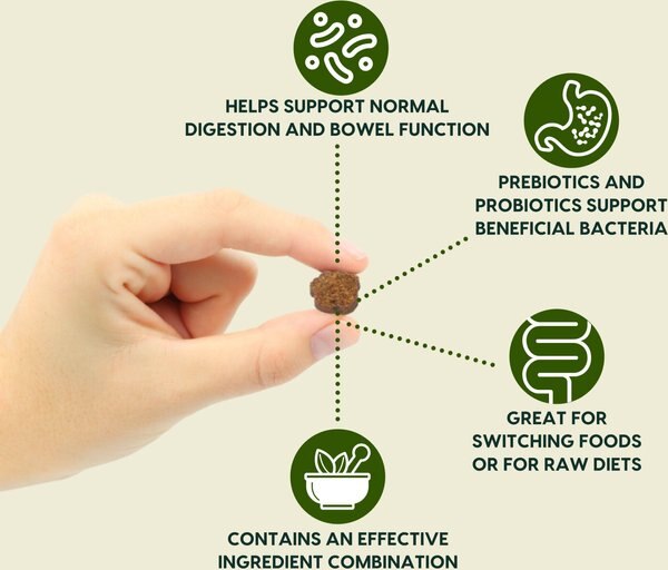 ARK NATURALS Gentle Digest Dog & Cat Soft Chews, 120 count - Chewy.com