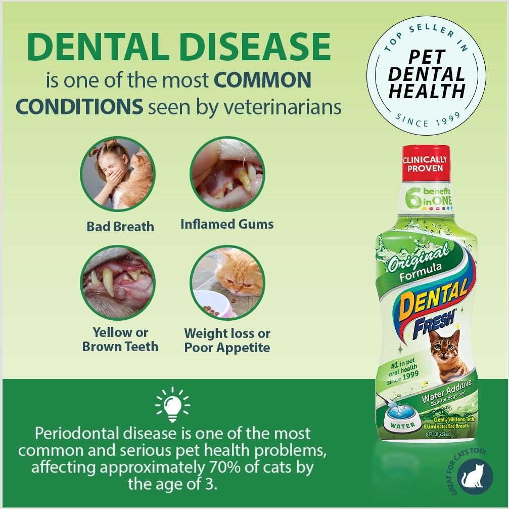DENTAL FRESH Original Formula Cat Dental Water Additive, 8-fl oz bottle ...