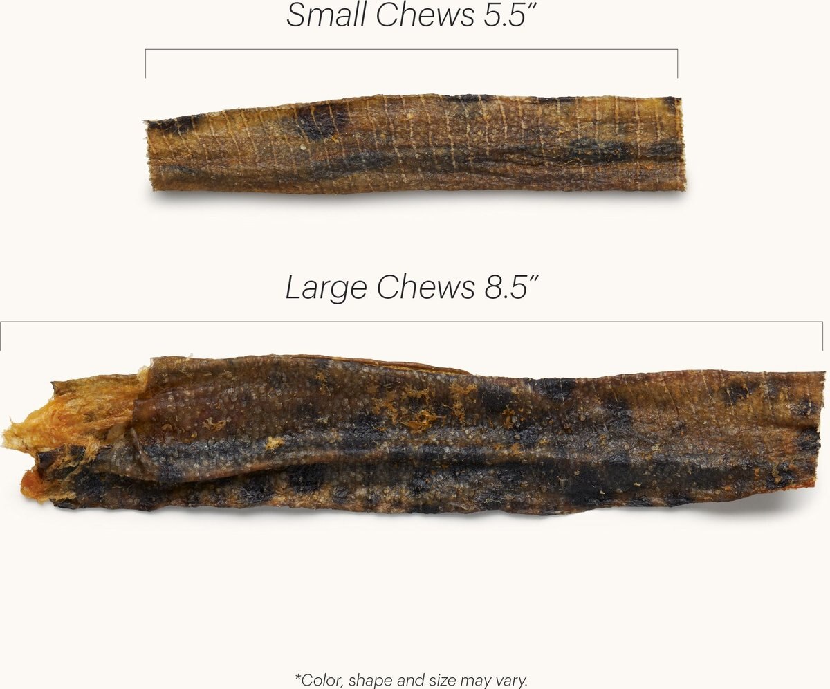 THE HONEST KITCHEN Beams Ocean Chews Wolfish Skins Dehydrated Dog ...