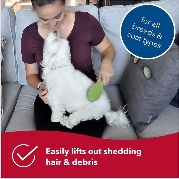 SAFARI Wire Pin Brush for Dogs, Large - Chewy.com