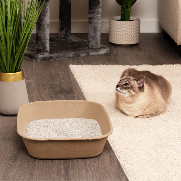 LITTER ONE Biodegradable Disposable Cat Litter Box Kit - Chewy.com