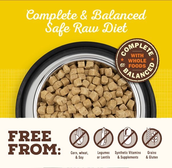 PRIMAL Raw Pronto Puppy Recipe Dog Freeze-Dried Food, 25-oz bag - Chewy.com