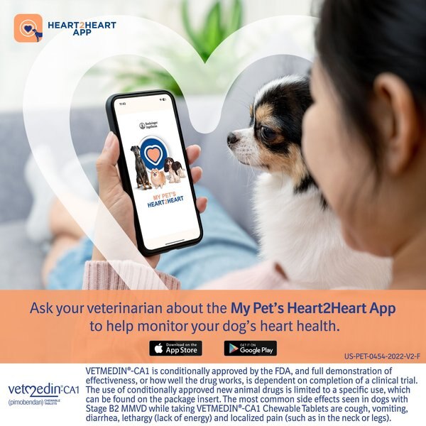 VETMEDIN-CA1 (pimobendan) Chewable Tablets for Dogs, 5-mg, 50 tablets ...