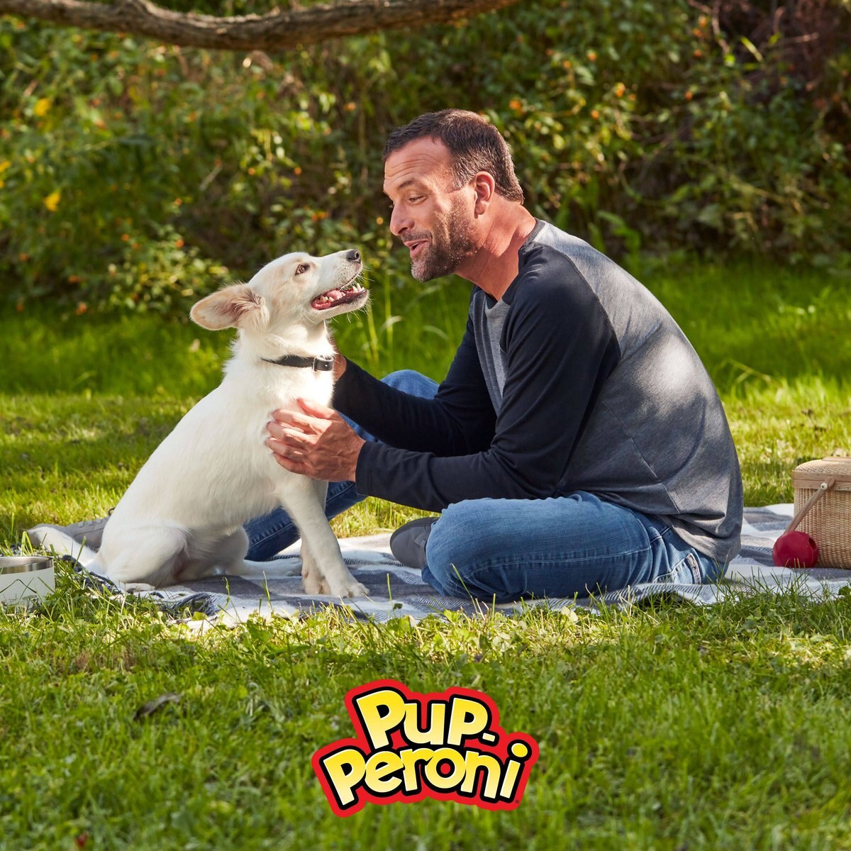 PUP-PERONI Rounds Beef Short Rib Dog Treats, 5-oz bag, case of 8 ...