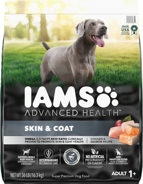 IAMS Advanced Health Skin & Coat Chicken & Salmon Recipe Adult Dry Dog ...