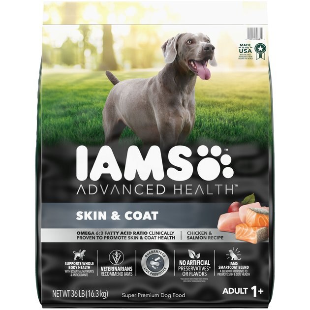 IAMS Advanced Health Skin & Coat Chicken & Salmon Recipe Adult Dry Dog ...