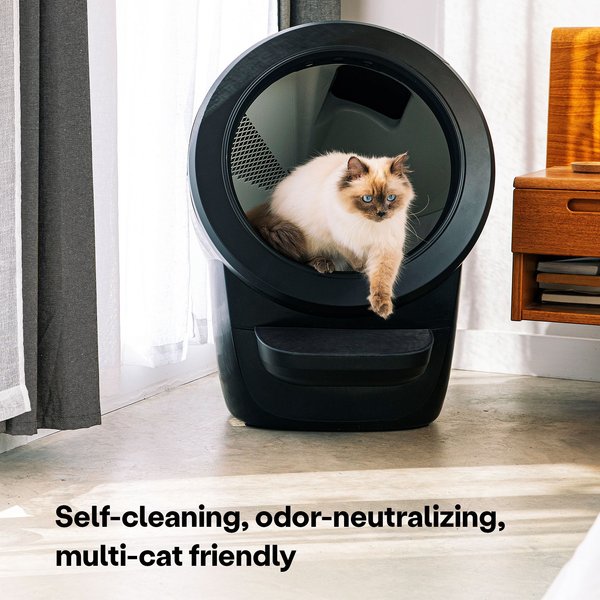 LITTER-ROBOT 4 Automatic Self-Cleaning Cat Litter Box, Black - Chewy.com