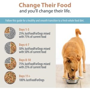 10 Best Human-Grade Dog Food 2024: According to Reviews | Chewy