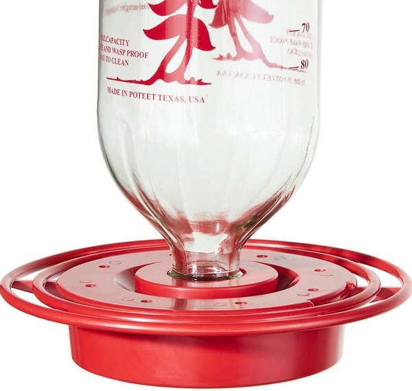 BIRDS CHOICE Hummingbird Bird Feeder, 32-oz - Chewy.com