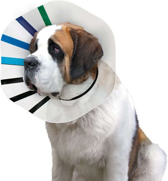 KONG EZ Clear Collar for Dogs & Cats, Large - Chewy.com