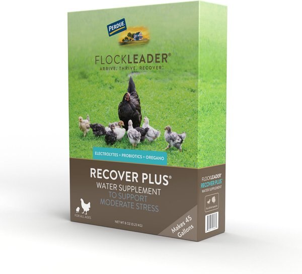 FLOCKLEADER Recover Plus Poultry Supplement, 8-oz bag - Chewy.com
