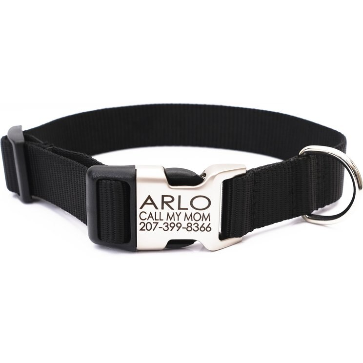 SMALL PERSONALIZED DOG COLLARS (Free Shipping) | Chewy