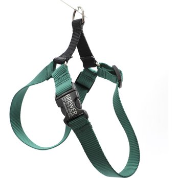 Back Clip Dog Harnesses - Page 6 (Free Shipping) | Chewy