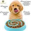 SUNGROW Puzzle Cat, Dog & Small-Pet Maze Feeder & Water Bowl - Chewy.com
