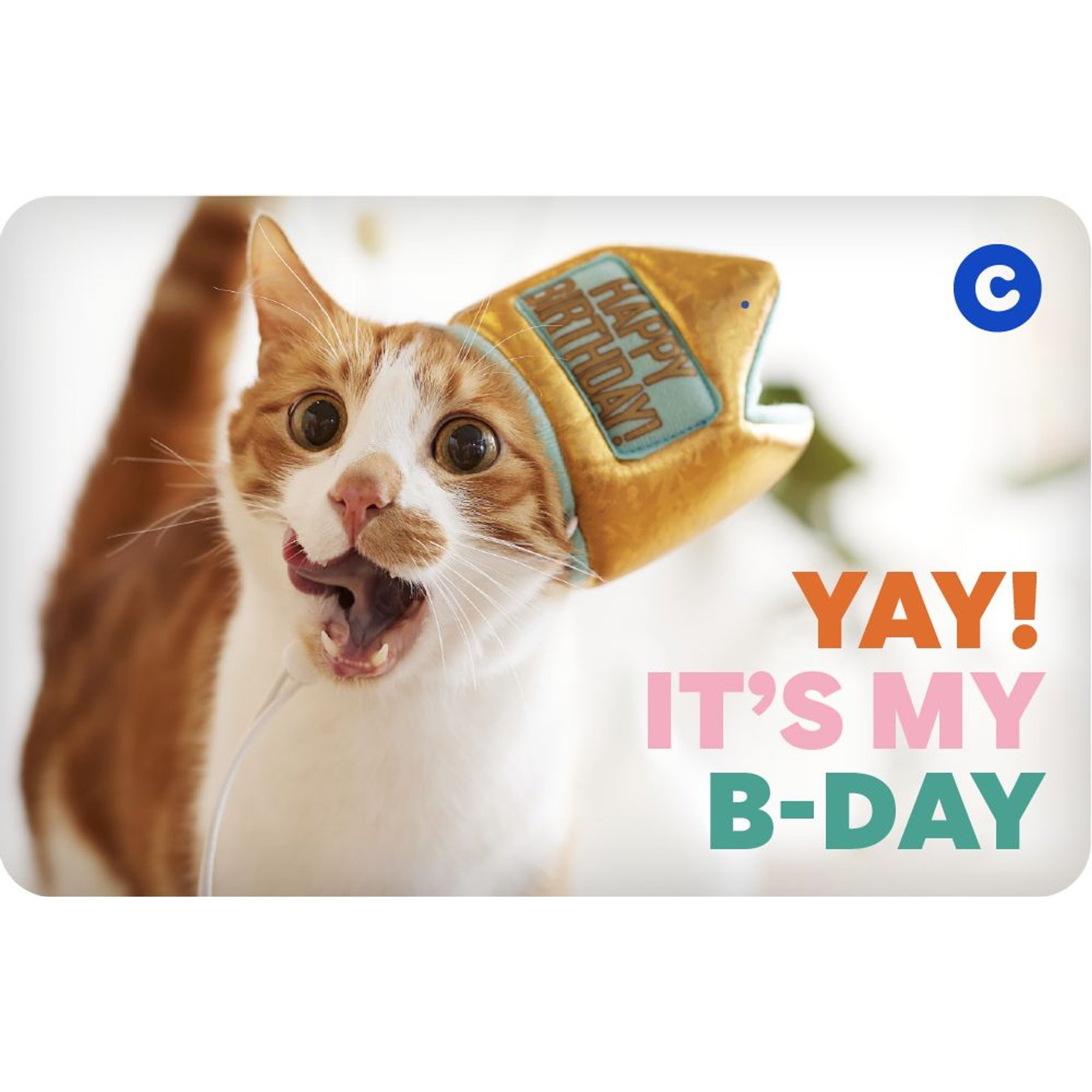 CHEWY eGift Card, Yay B-Day, $25 - Chewy.com