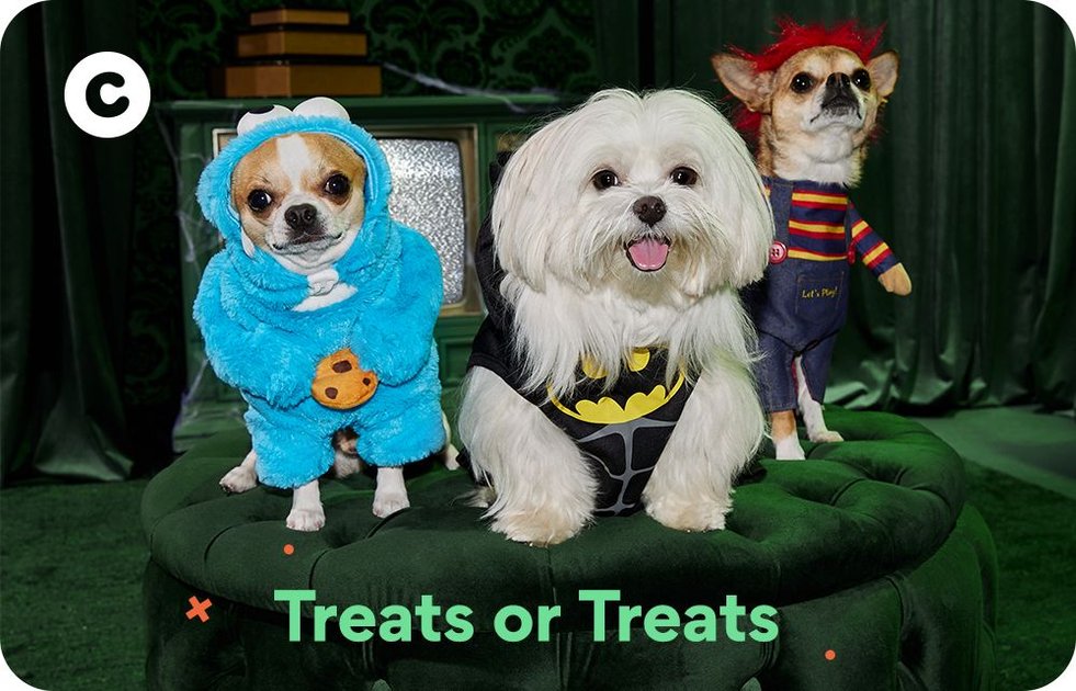 CHEWY eGift Card, Treats for Treats, $75 - Chewy.com