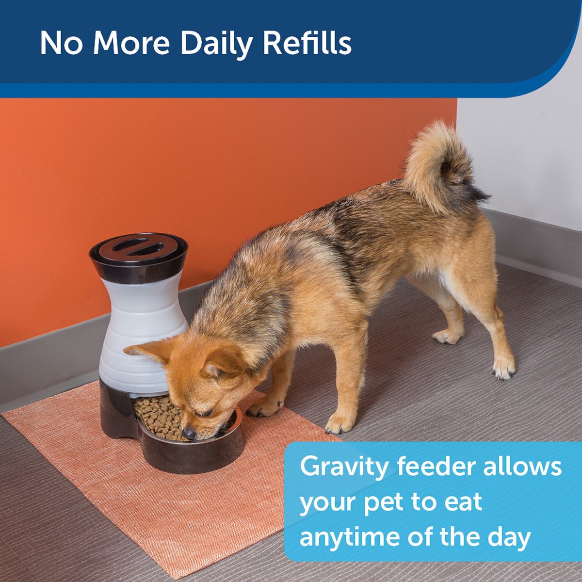 PETSAFE Healthy Pet Food Station Gravity Refill Dog & Cat Feeder, 2-lb ...