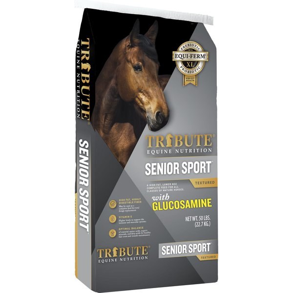 SWEET COUNTRY FEEDS 12% Pleasure Horse Textured Sweet Feed, 50-lb bag ...