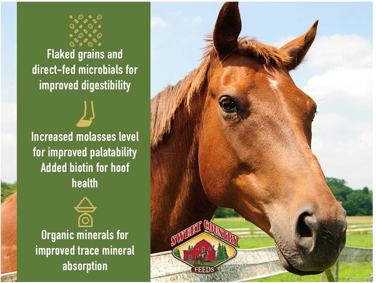 SWEET COUNTRY FEEDS 12% Pleasure Horse Textured Sweet Feed, 50-lb bag ...