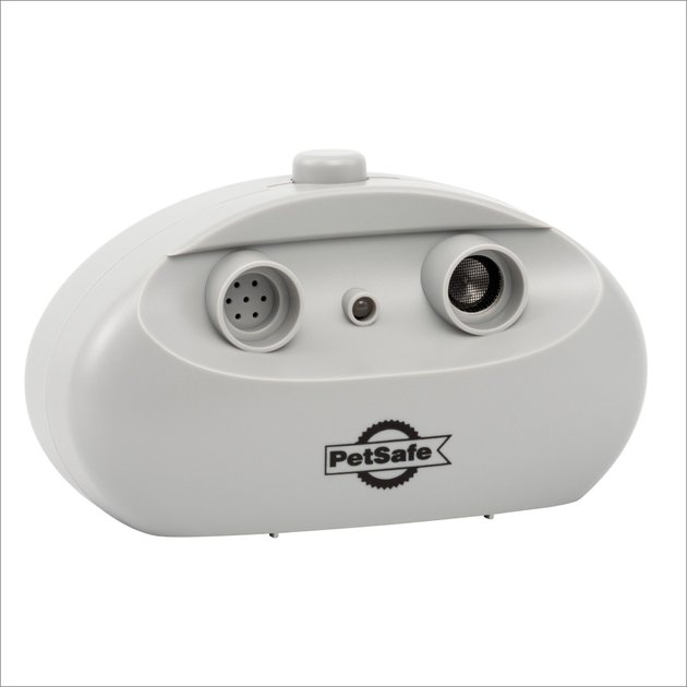 PETSAFE Ultrasonic Indoor Bark Control - Chewy.com