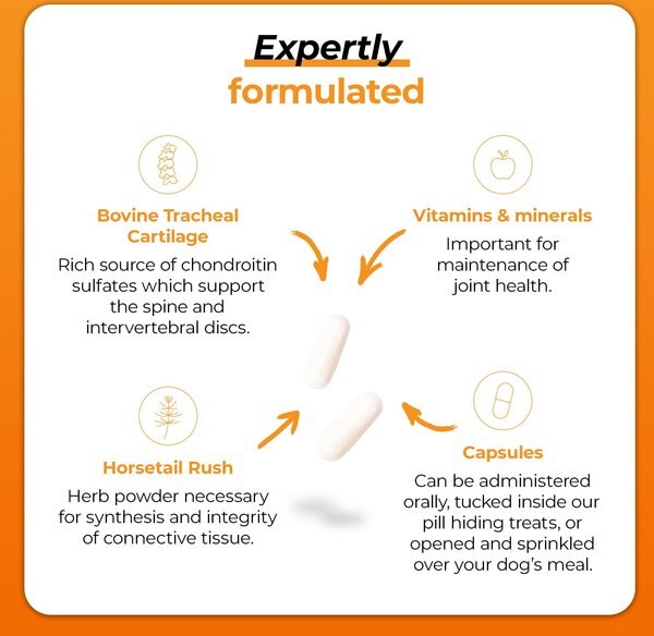 Out of Stock - VETRISCIENCE Vetri Disc Capsules Joint Supplement for ...