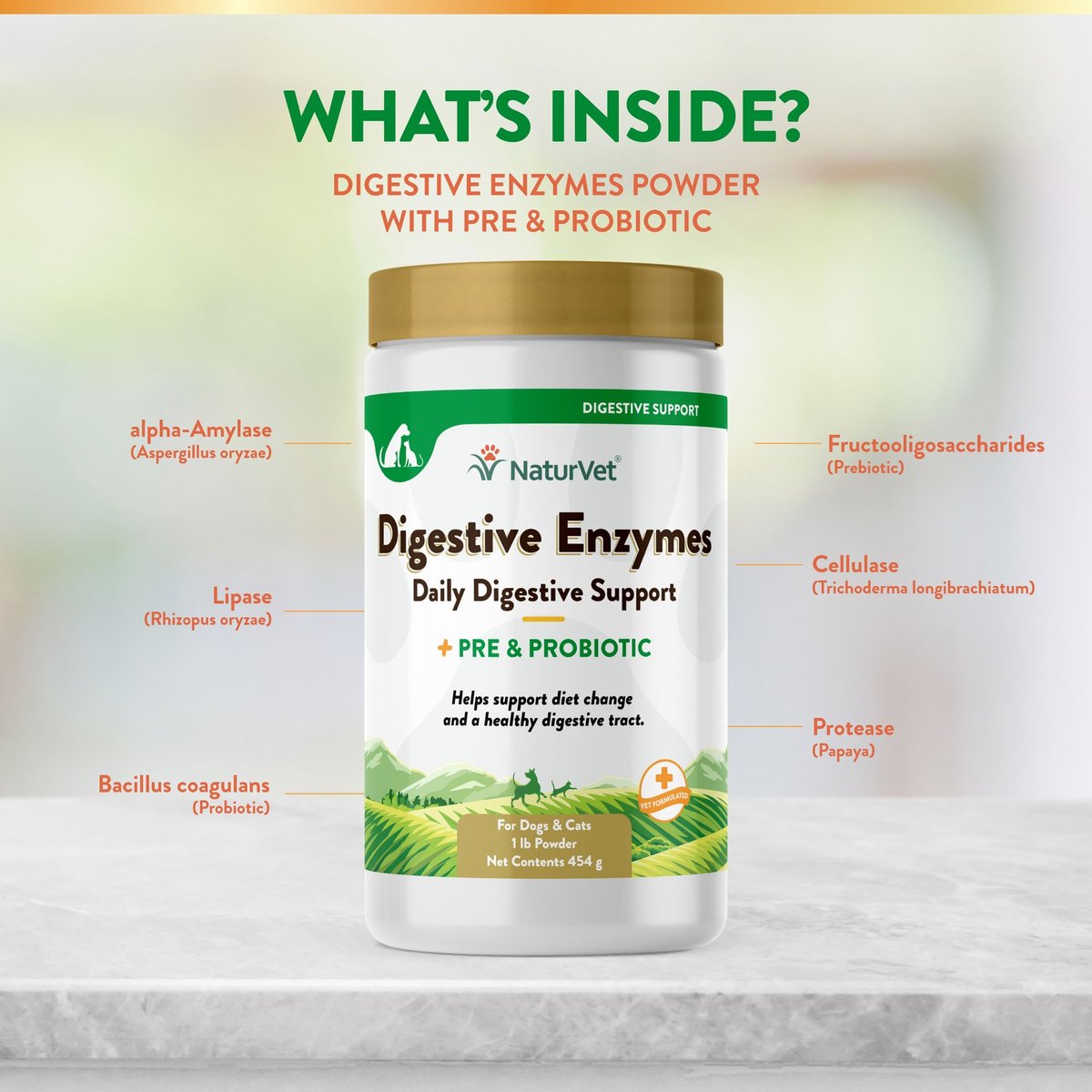 NATURVET Digestive Enzymes Plus Probiotic Powder Digestive Supplement ...