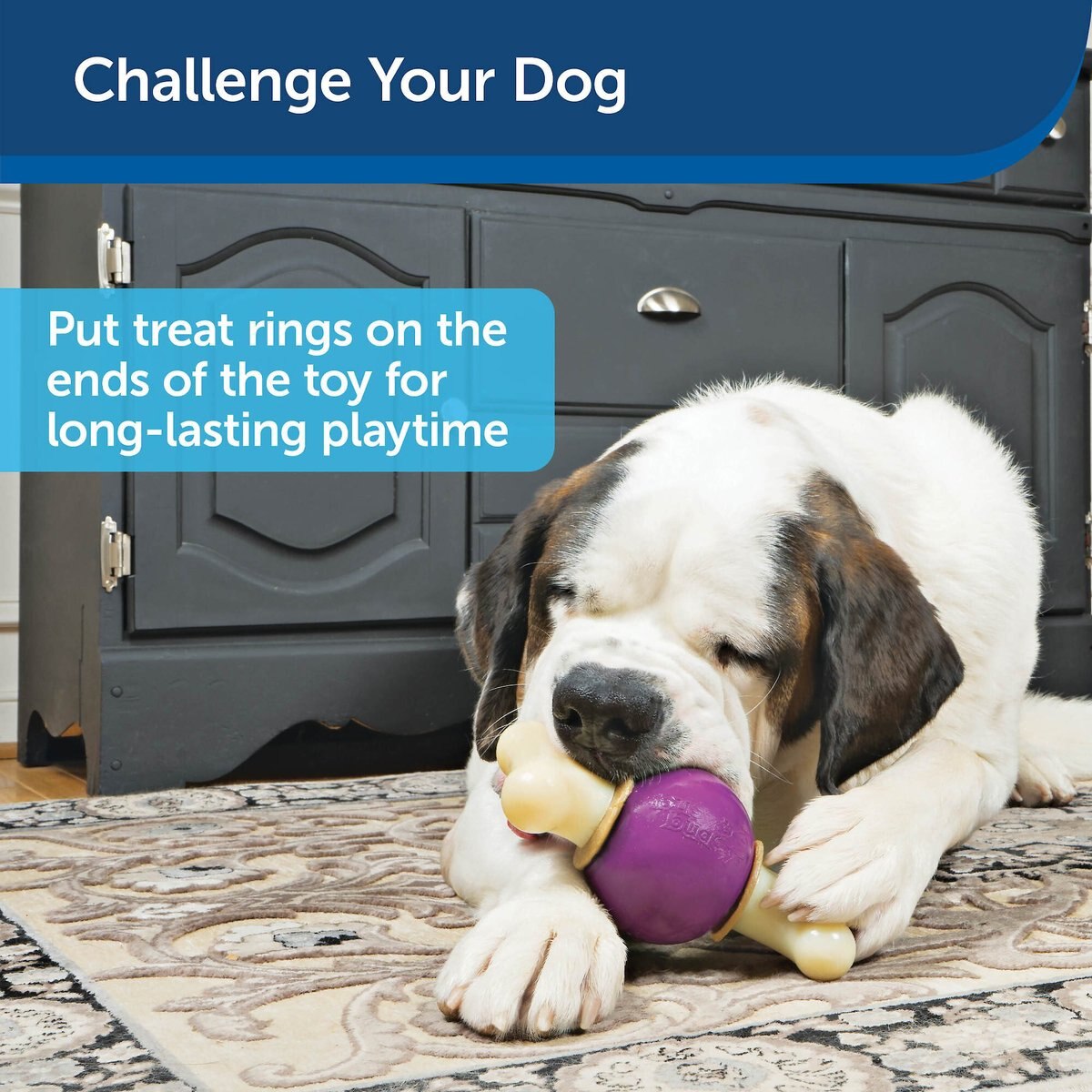 PETSAFE Busy Buddy Bouncy Bone Treat Dispenser Tough Dog Chew Toy ...