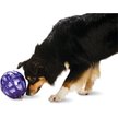 PETSAFE Busy Buddy Kibble Nibble Treat Dispenser Dog Toy, Medium/Large ...
