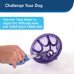 PETSAFE Busy Buddy Kibble Nibble Treat Dispenser Dog Toy, Medium/Large ...