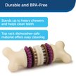 PETSAFE Busy Buddy Bristle Bone Treat Dispenser Tough Dog Chew Toy ...