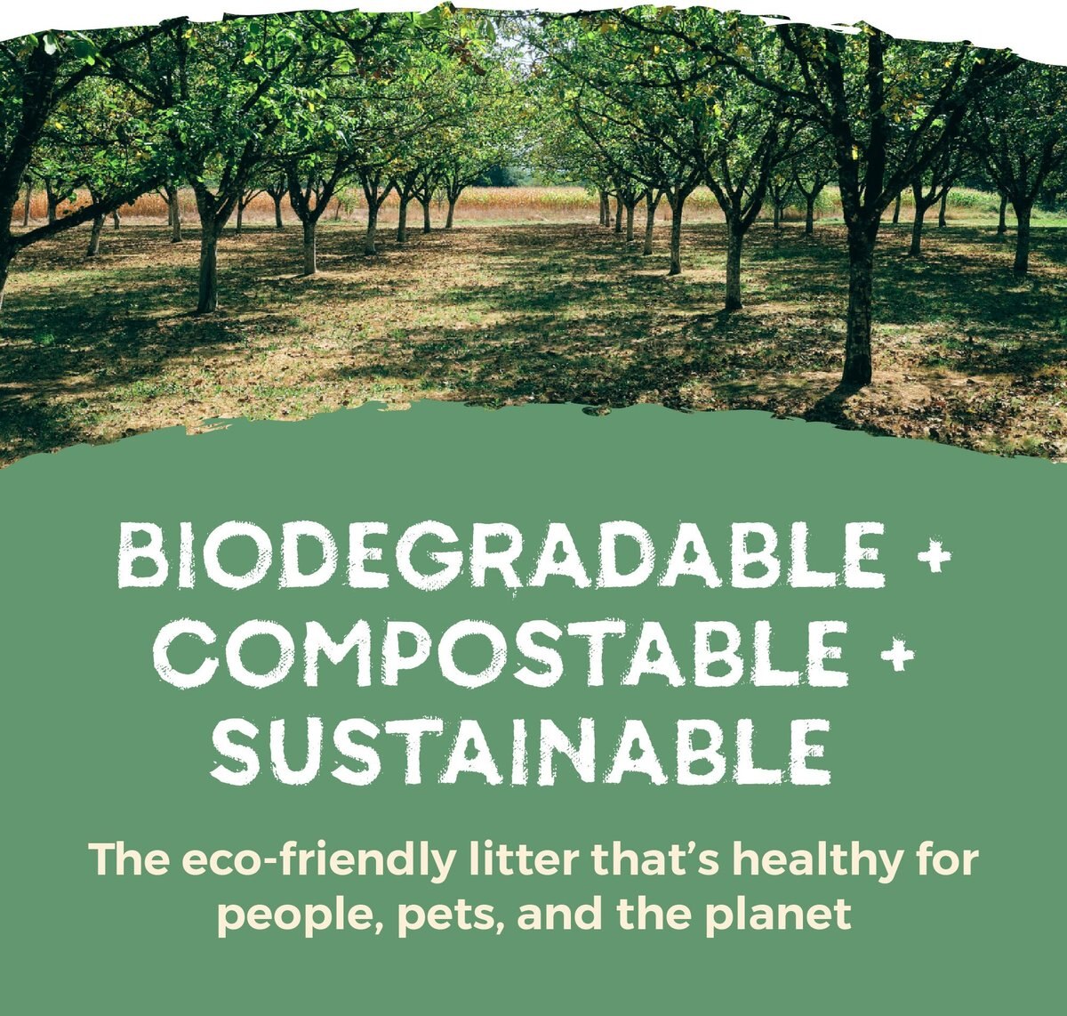 NATURALLY FRESH Quick Clumping Unscented Cat Litter, 40-lb bag - Chewy.com