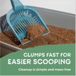NATURALLY FRESH Quick Clumping Unscented Cat Litter, 40-lb bag - Chewy.com