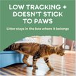NATURALLY FRESH Quick Clumping Unscented Cat Litter, 40-lb bag - Chewy.com