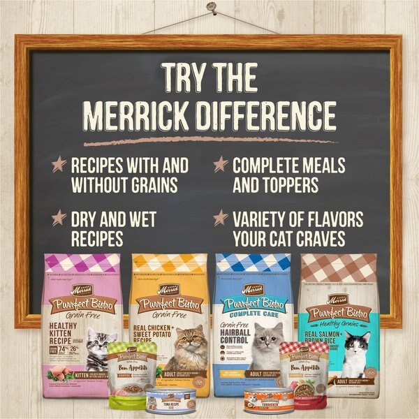 MERRICK Purrfect Bistro Beef Pate Grain-Free Canned Cat Food, 3-oz ...