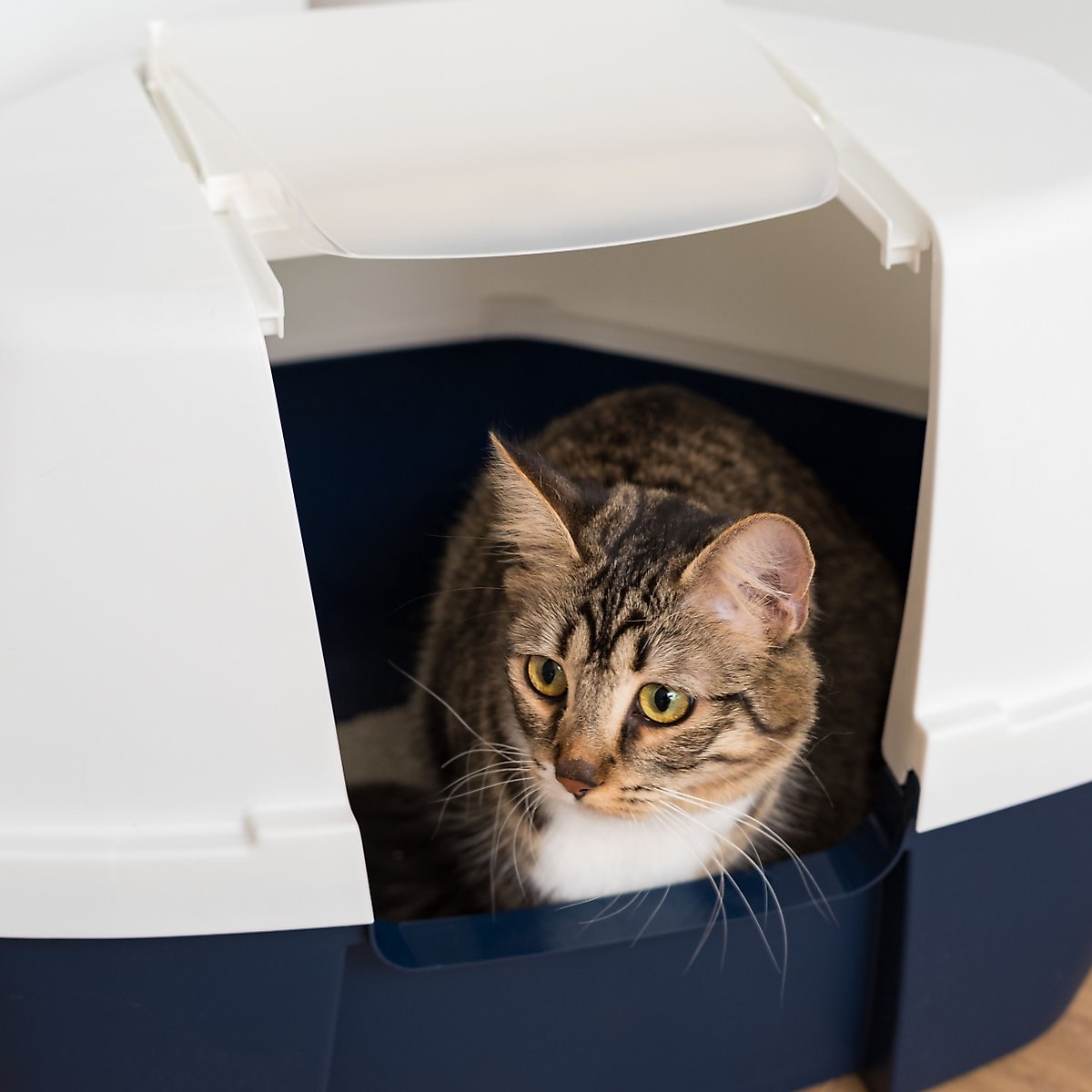 IRIS USA Hooded Corner Cat Litter Box with Front Door Flap, Navy ...