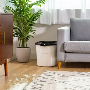 10 Best Covered Litter Boxes 2024: According to Reviews | Chewy