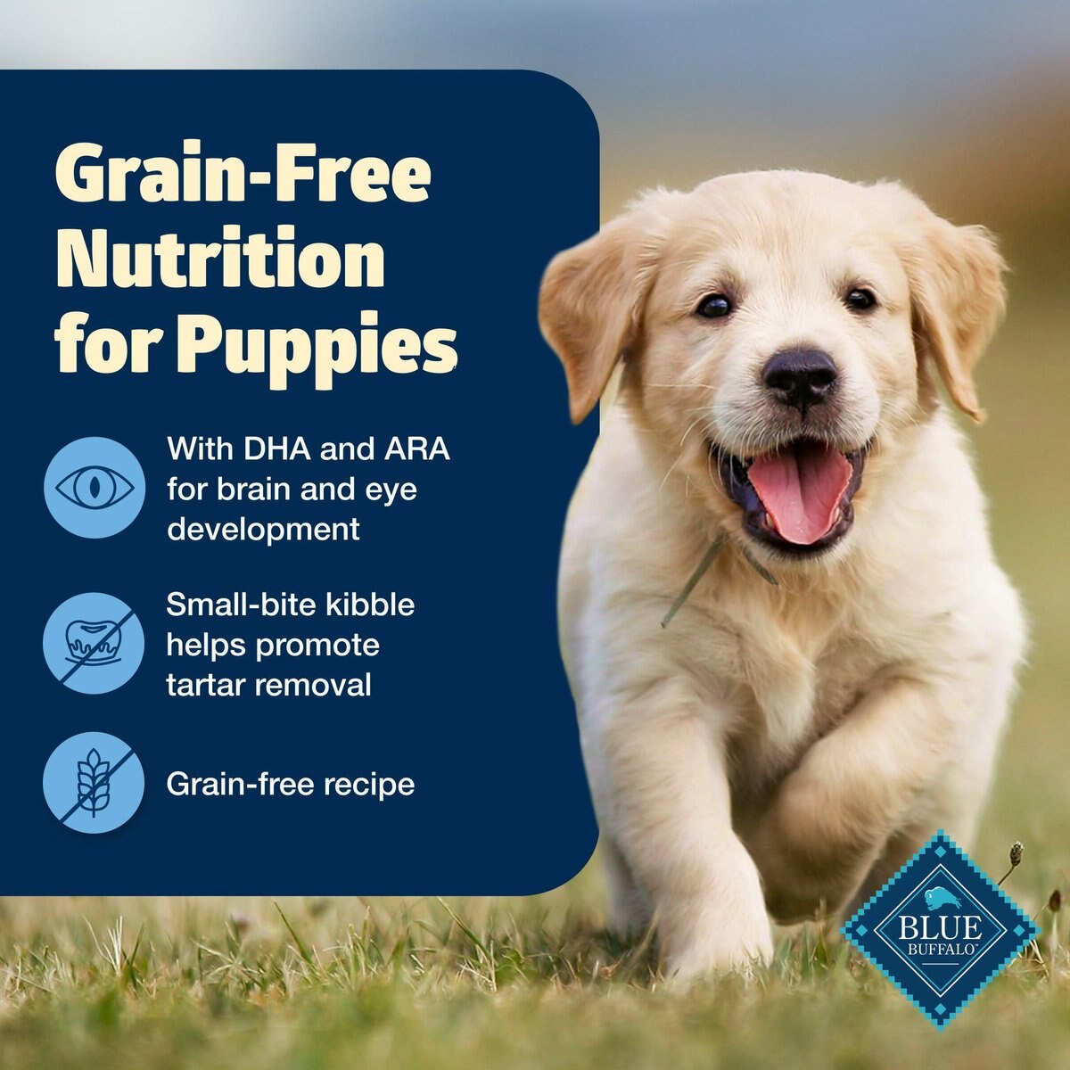 BLUE BUFFALO Freedom Puppy Grain-Free Chicken & Potatoes Dry Dog Food ...