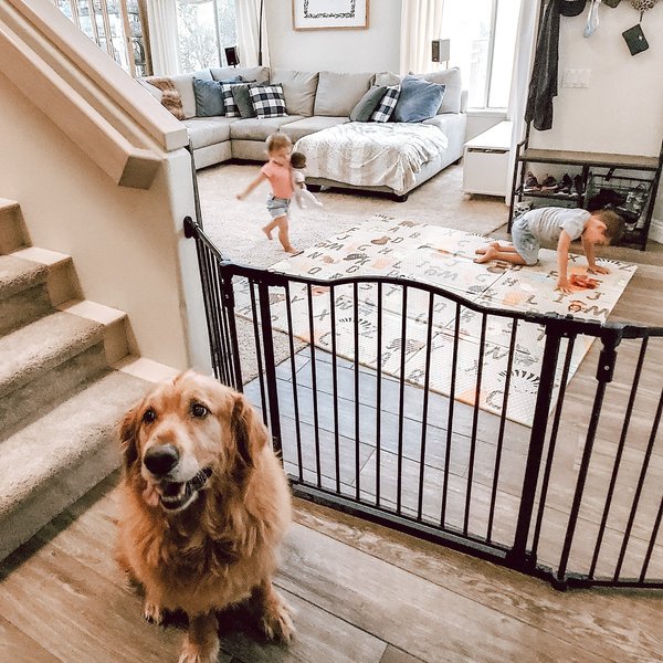 MYPET Windsor Extra Wide Arch Pet Gate for Dogs & Cats - Chewy.com