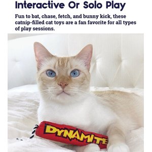 10 Best Cat Balls & Chase Toys 2024: According to Reviews | Chewy