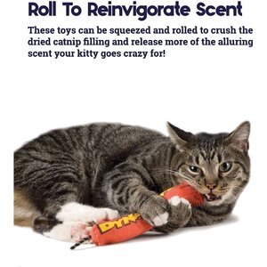 10 Best Cat Balls & Chase Toys 2024: According to Reviews | Chewy