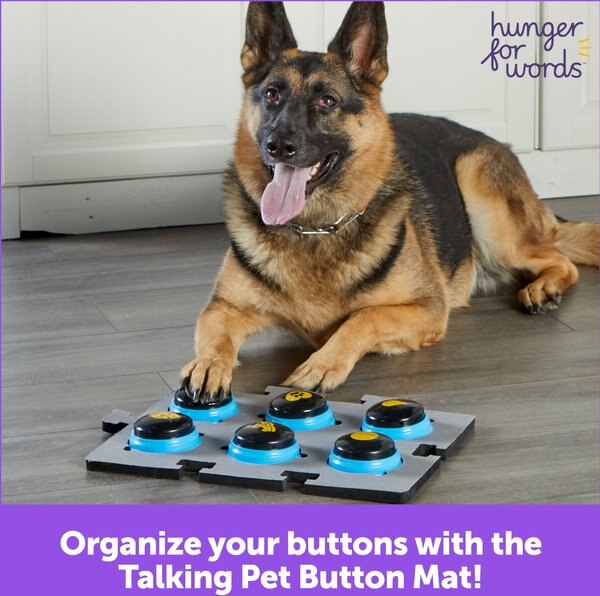 HUNGER FOR WORDS Talking Pet Button Mat Dog Toy - Chewy.com