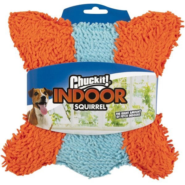 CHUCKIT! Indoor Ball Dog Toy - Chewy.com