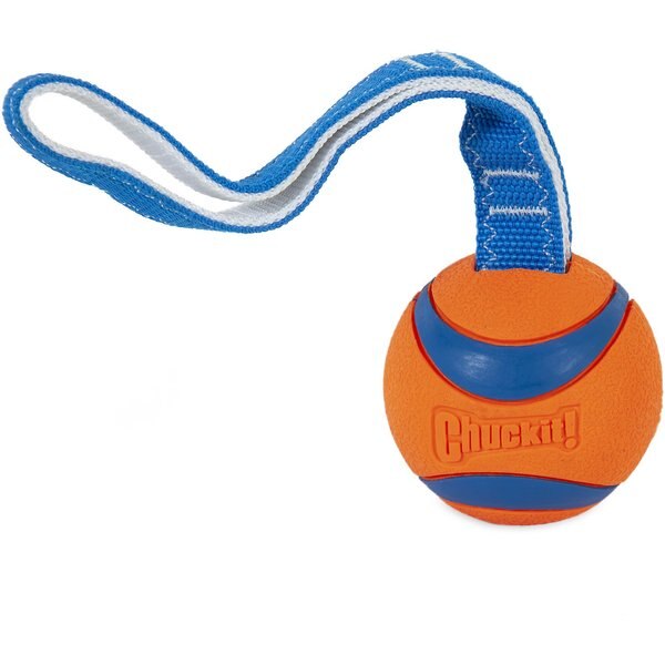 CHUCKIT! Max Glow Ball Dog Toy, Large - Chewy.com