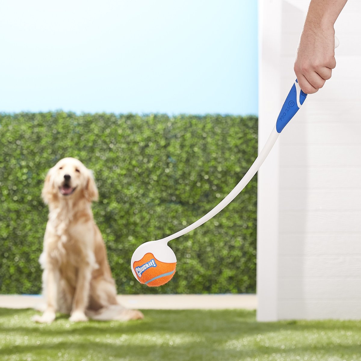 CHUCKIT! Pro Launcher Dog Toy, Color Varies, 26 X-Large - Chewy.com