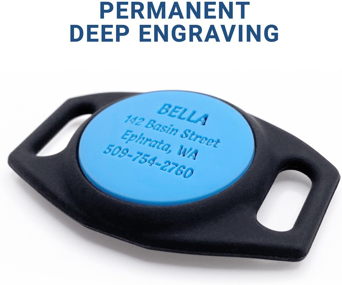 GOTAGS Engraved AirTag Dog & Cat Collar Holder, Blue, Small - Chewy.com