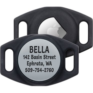 PERSONALIZED DOG TAGS FOR SMALL DOGS (Free Shipping) | Chewy