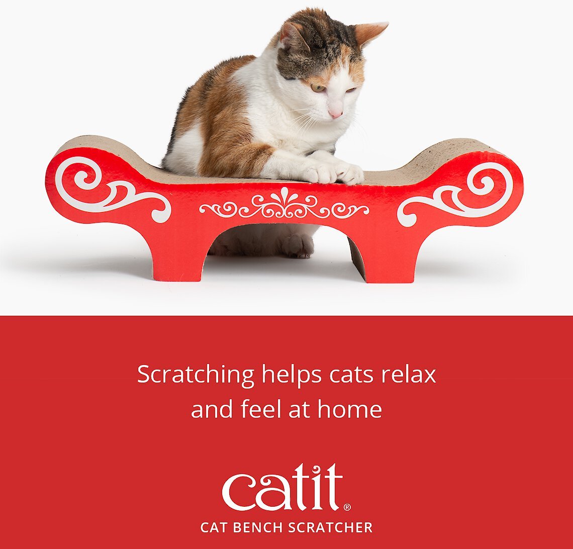 CATIT Bench Scratcher with Catnip - Chewy.com