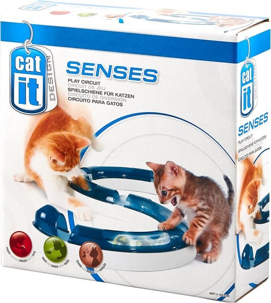CATIT Design Senses Circuit Cat Toy, Play - Chewy.com