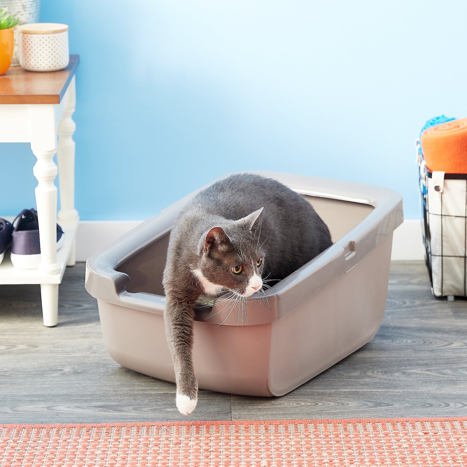 CATIT Cat Pan with Rim, Gray - Chewy.com