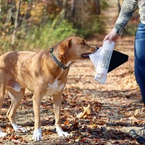 10 Best Dog Training Dummies 2024: According to Reviews | Chewy